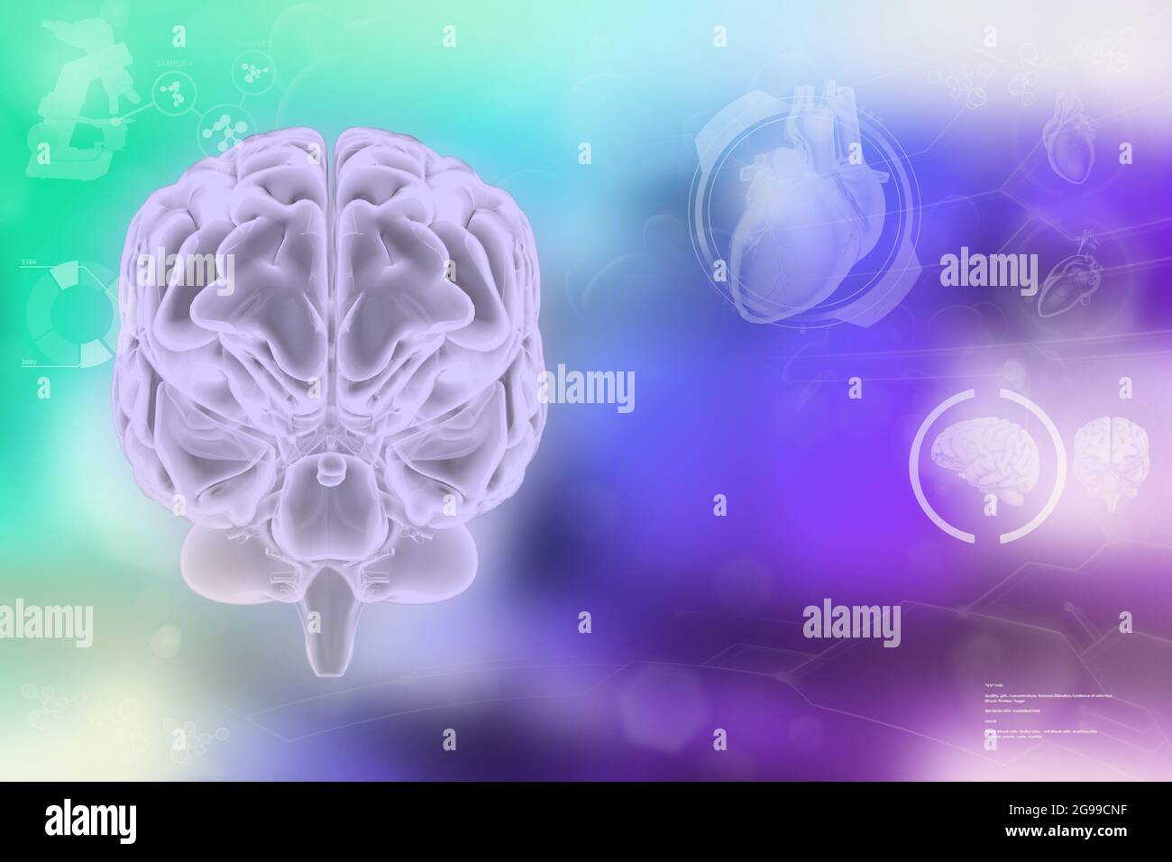 Human brain, physiology research concept - highly detailed electronic ...