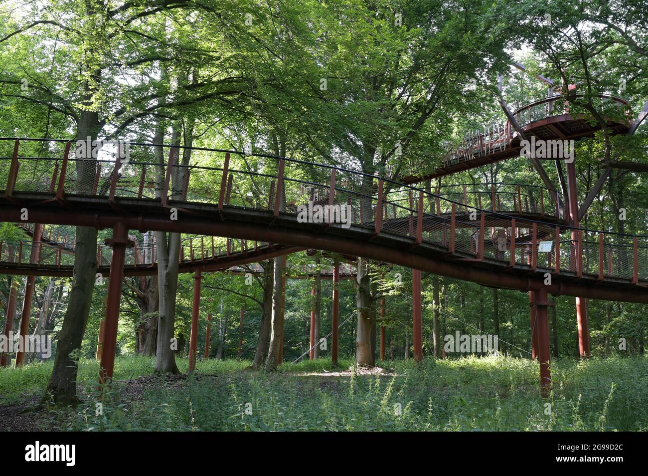 Ivenacker oak hi-res stock photography and images - Alamy