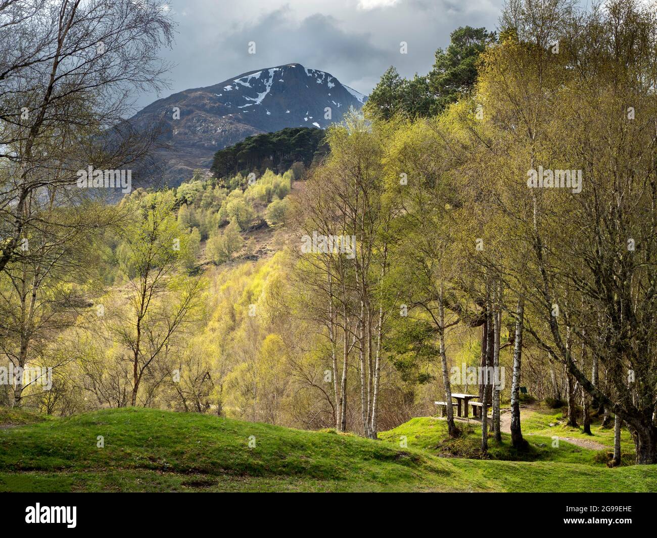 Glen affric scotland spring hi-res stock photography and images - Alamy