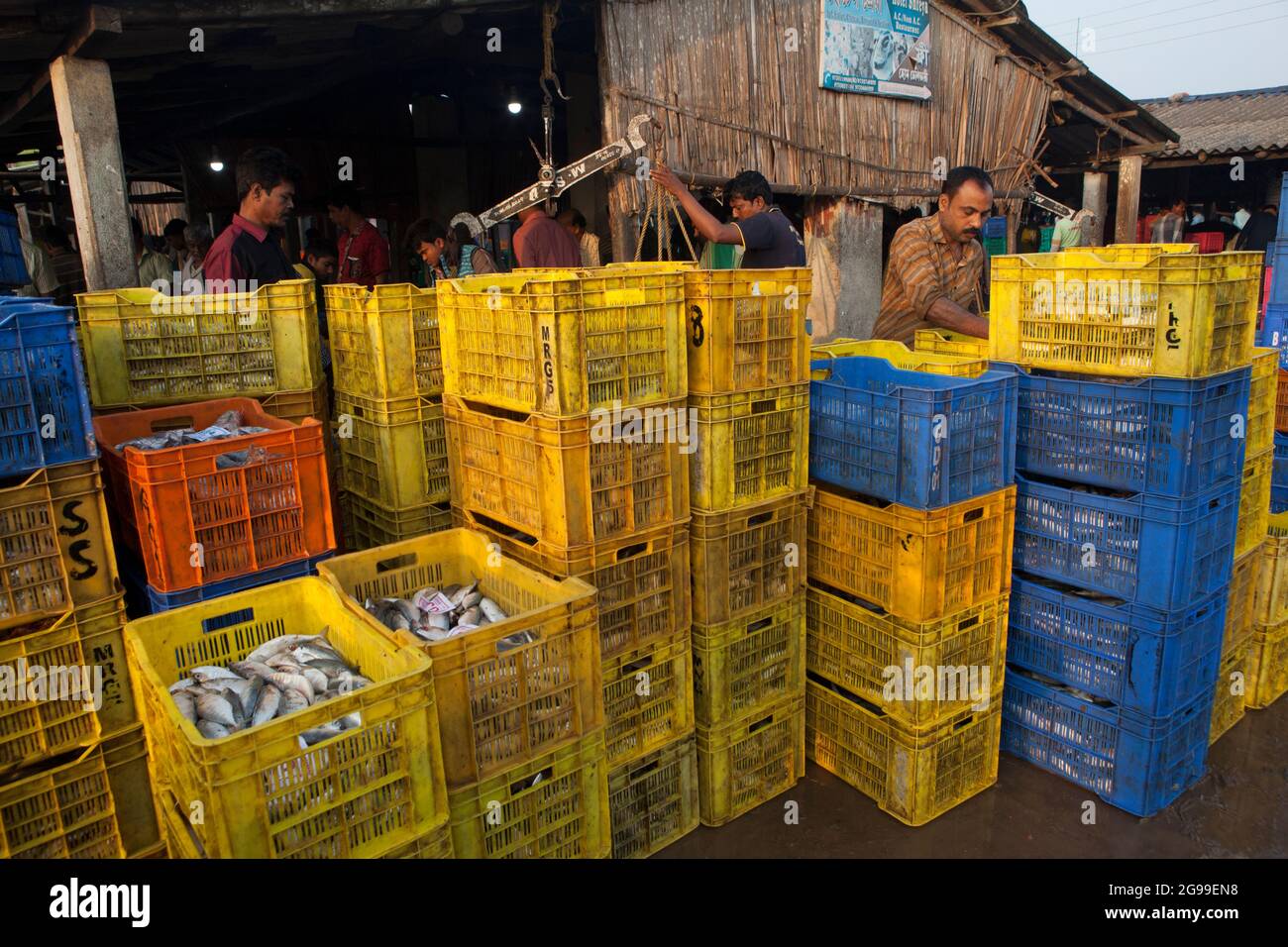 Busy activities in the wholesale fish market of Digha, West Bengal ...