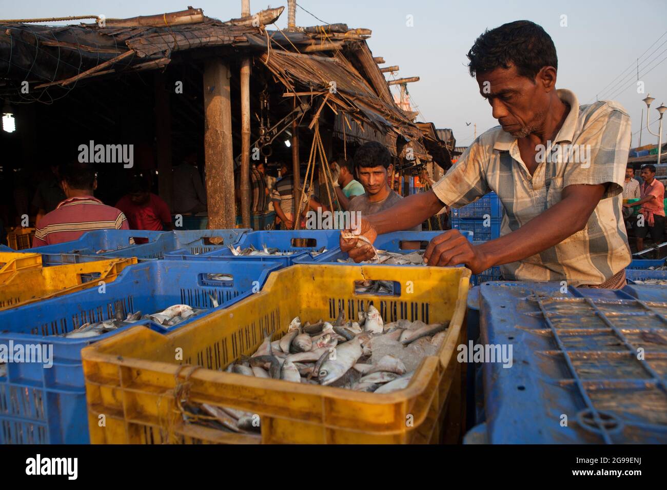 Busy activities in the wholesale fish market of Digha, West Bengal ...
