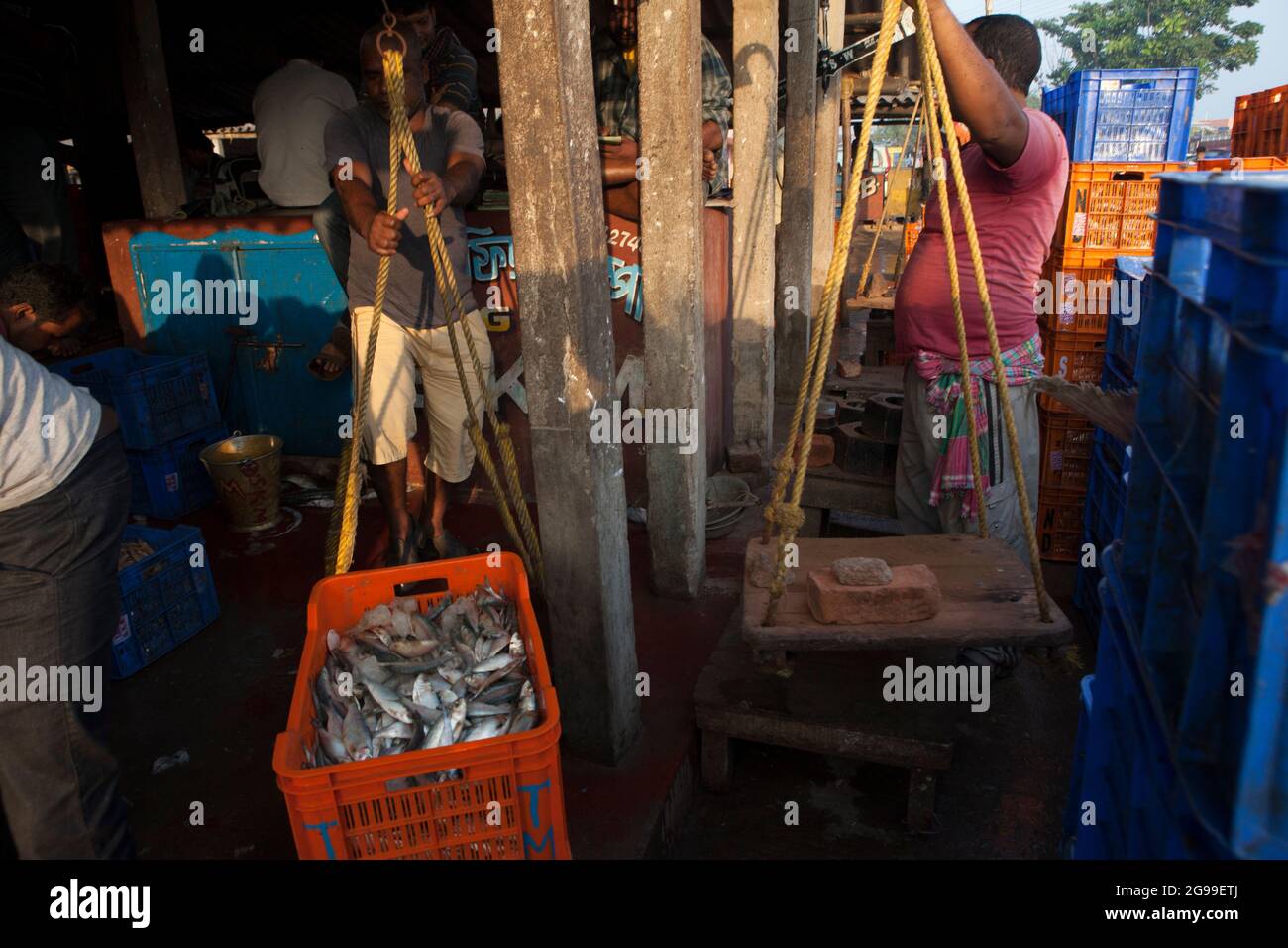Busy activities in the wholesale fish market of Digha, West Bengal ...