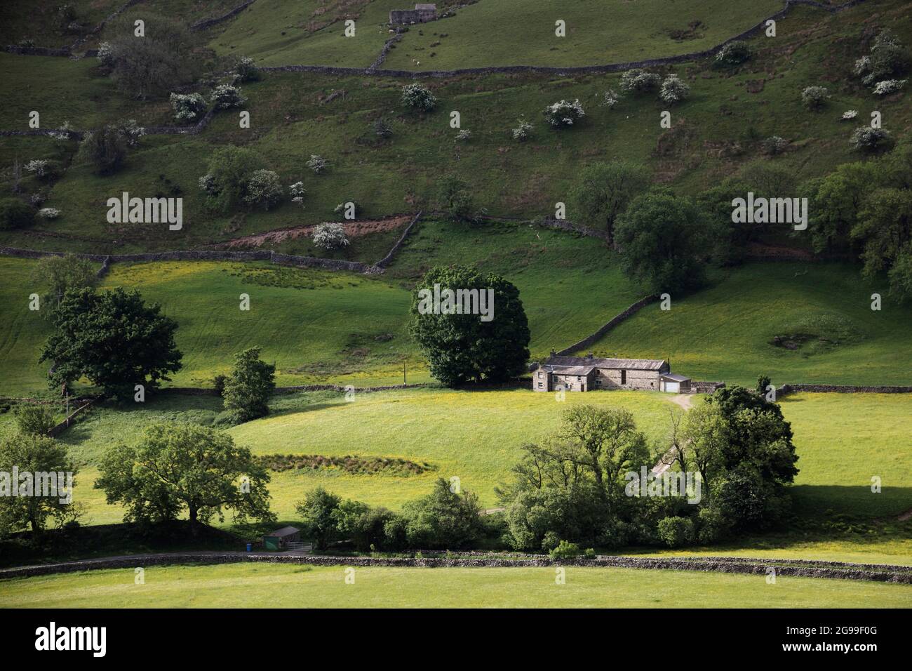 Farm House, Upper Swaledale in June, Yorkshire Dales National Park ...
