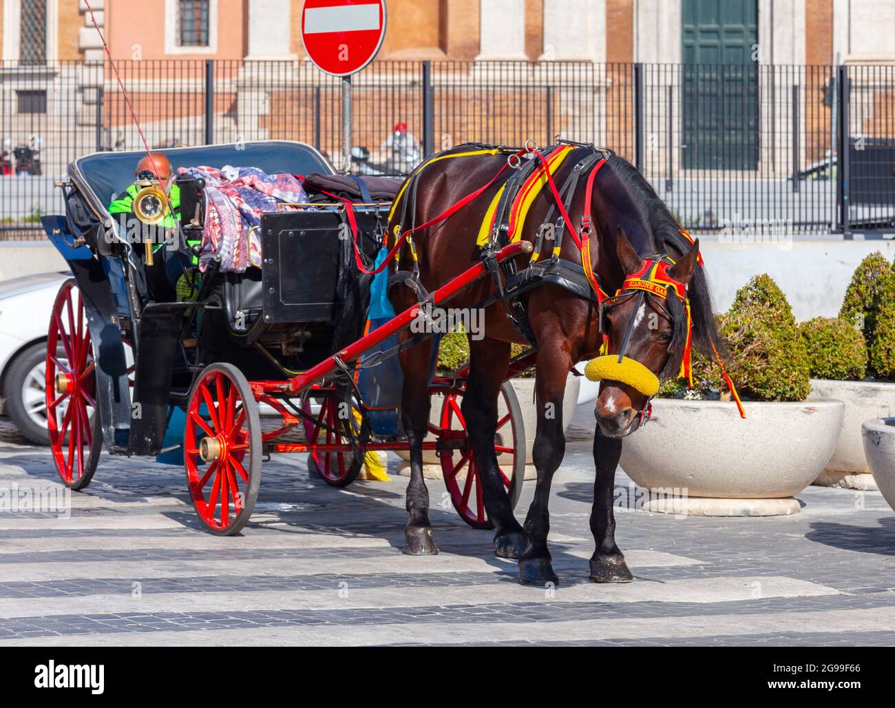 Horse-drawn tourist carriage in the historic center of Rome. Italy ...