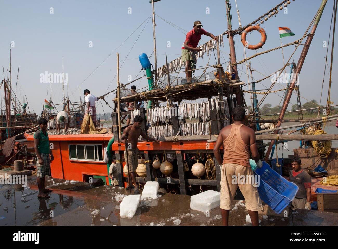 fish are being dried in sunlight to prepare sundry fish in trawlers ...