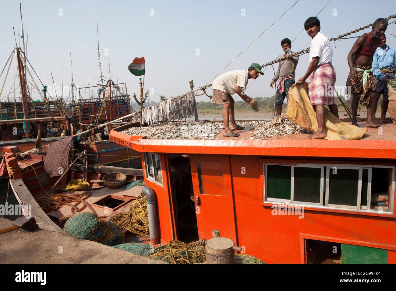 fish are being dried in sunlight to prepare sundry fish in trawlers ...