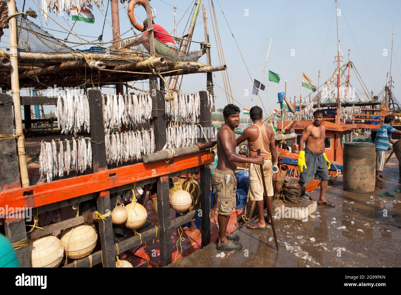 fish are being dried in sunlight to prepare sundry fish in trawlers ...