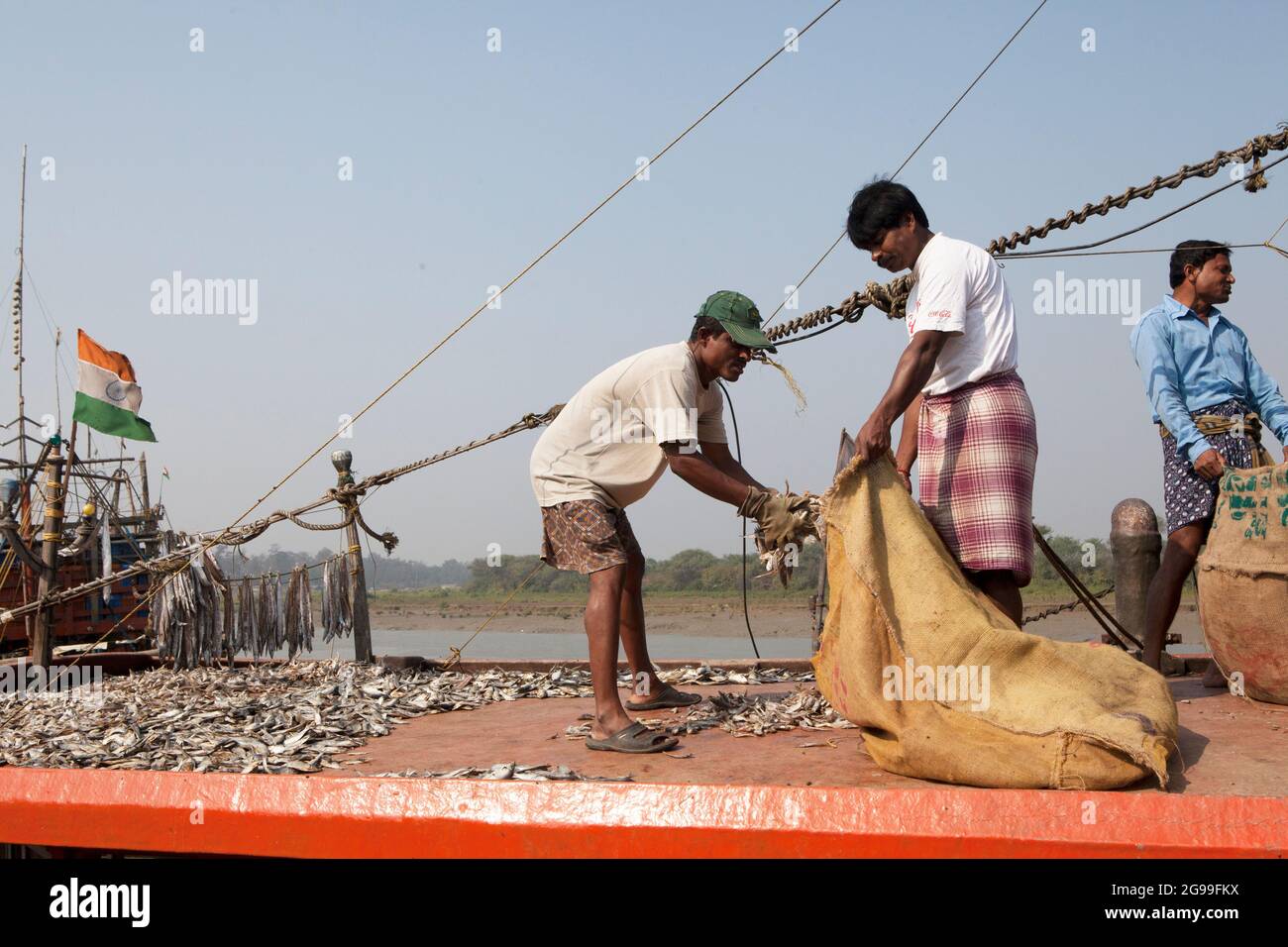 fish are being dried in sunlight to prepare sundry fish in trawlers ...