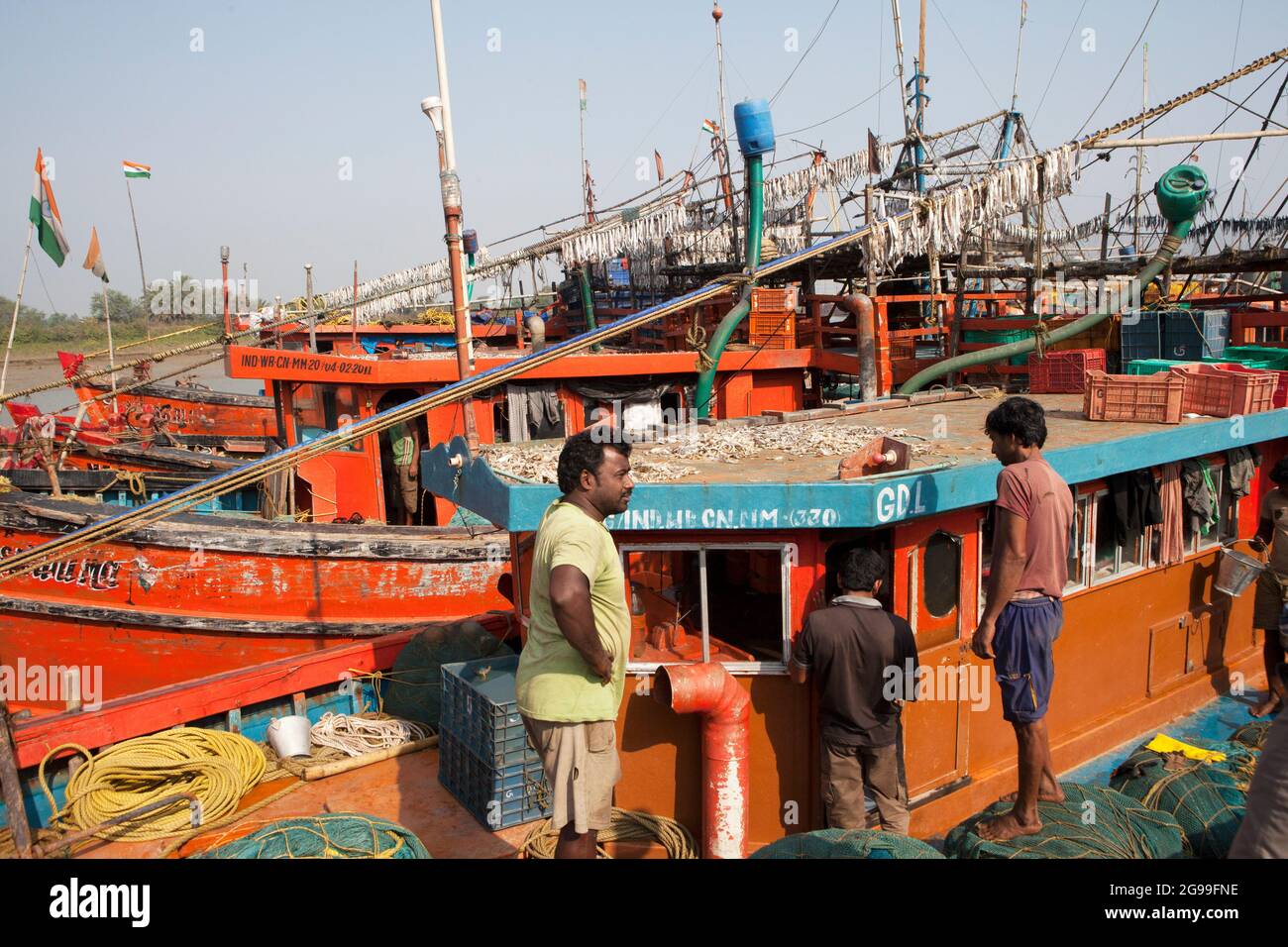 fish are being dried in sunlight to prepare sundry fish in trawlers ...
