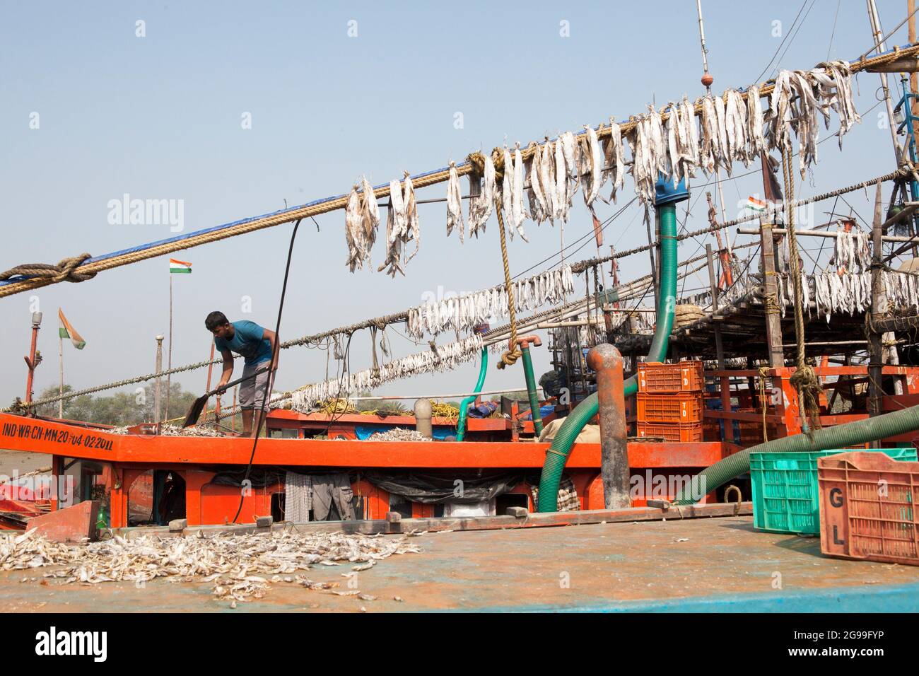 fish are being dried in sunlight to prepare sundry fish in trawlers ...