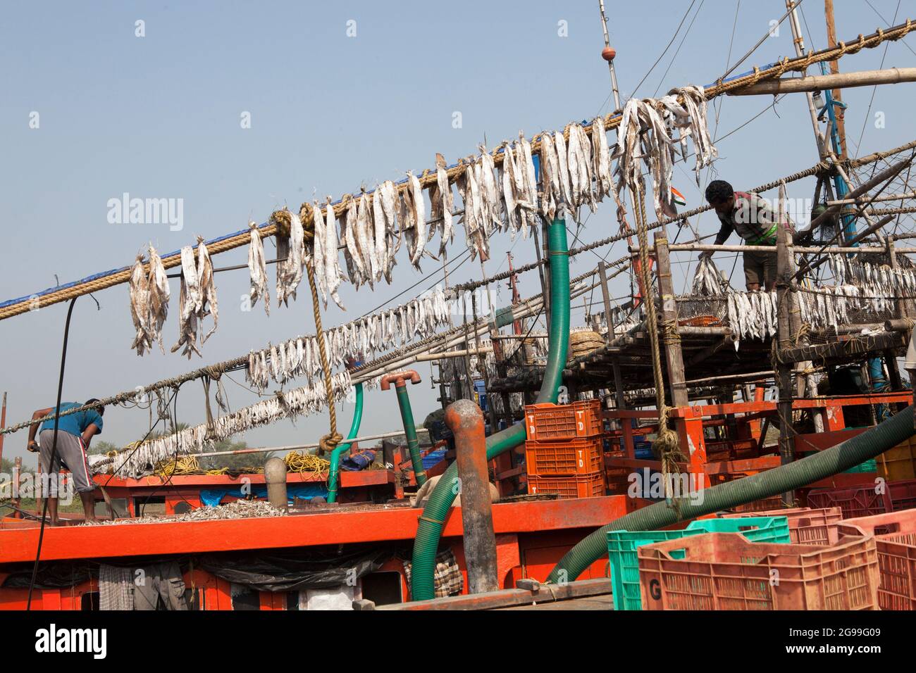 Dried fish processing hi-res stock photography and images - Alamy