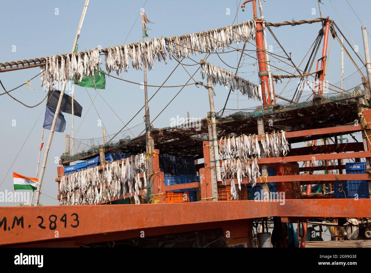 fish are being dried in sunlight to prepare sundry fish in trawlers ...