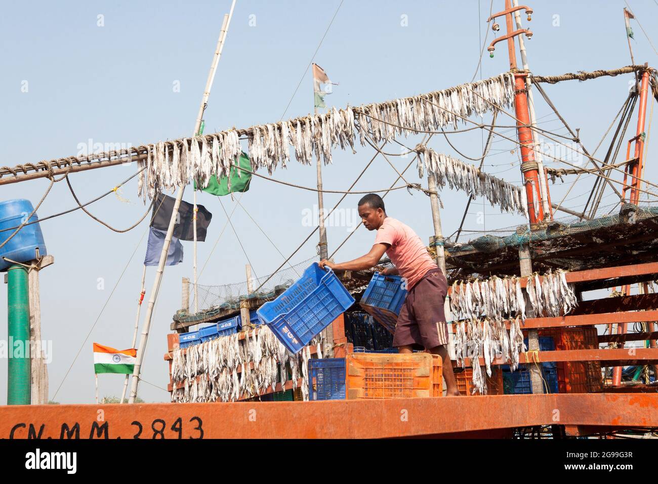 fish are being dried in sunlight to prepare sundry fish in trawlers ...