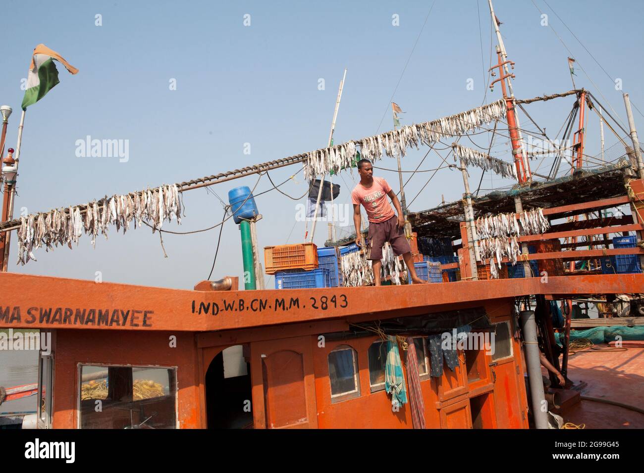 fish are being dried in sunlight to prepare sundry fish in trawlers ...