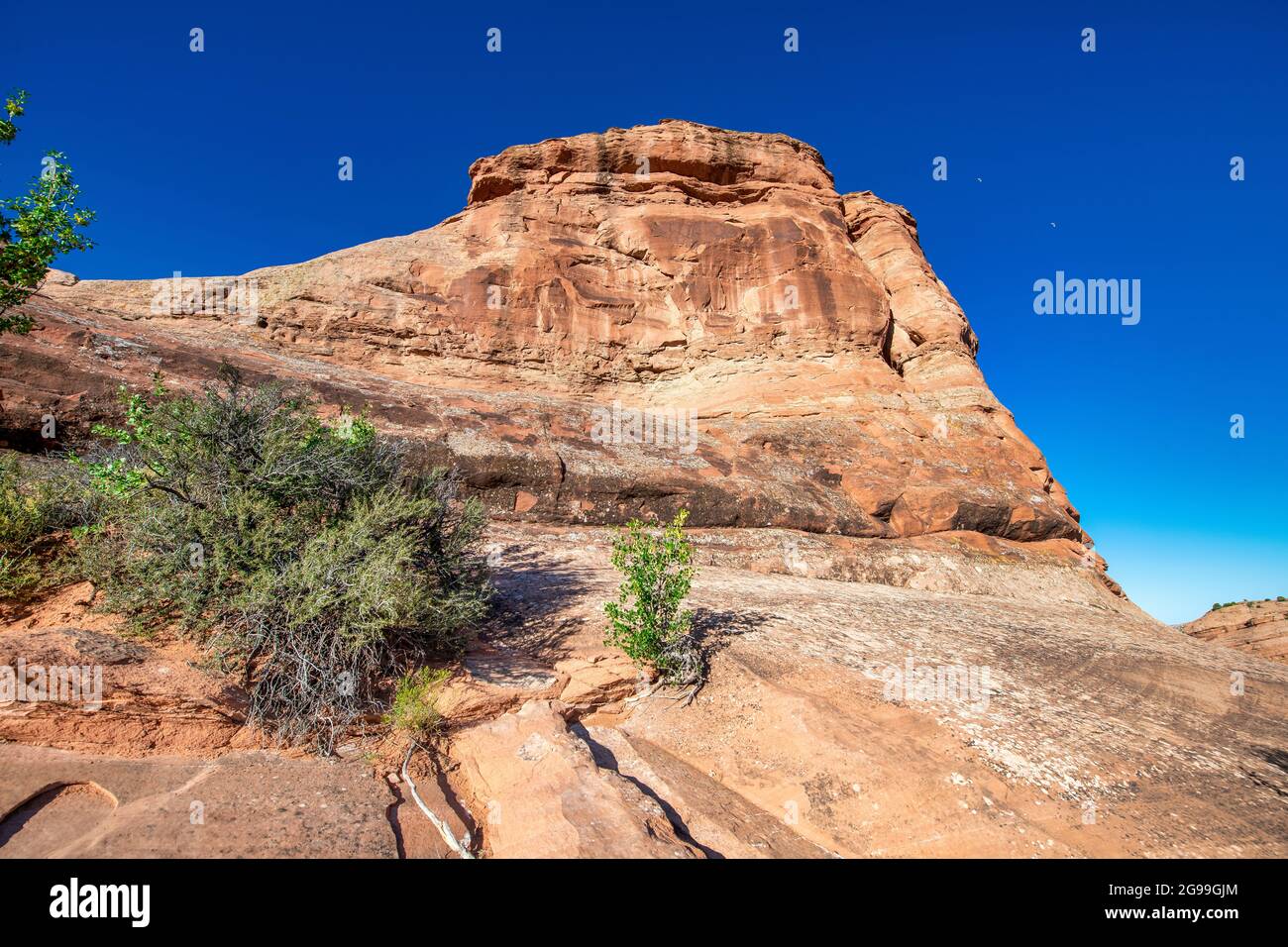 Amazing rocks of Arches National Park, Utah Stock Photo - Alamy