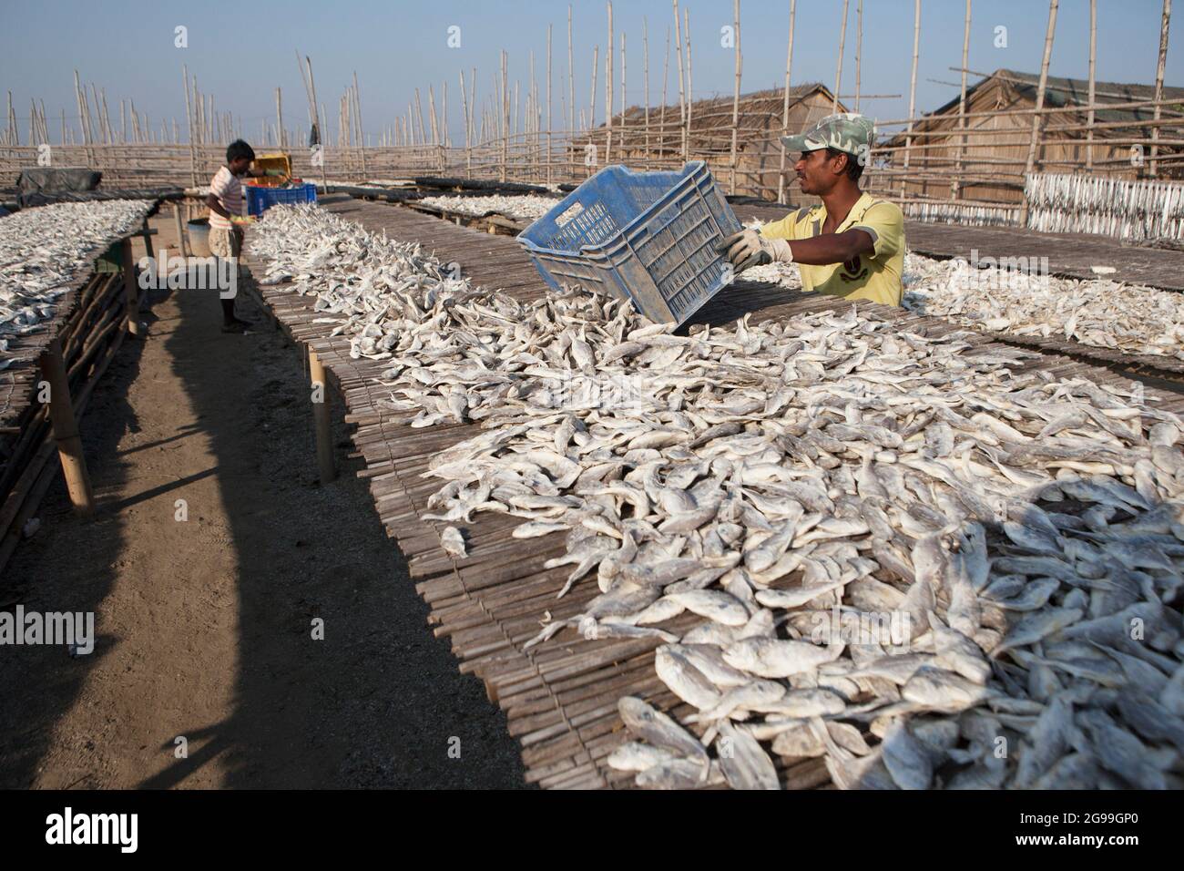 Silver flat fish sea hi-res stock photography and images - Alamy