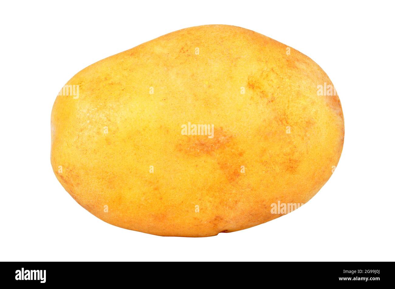 Fresh organic yellow raw potato vegetable, carbohydrate and starch ...