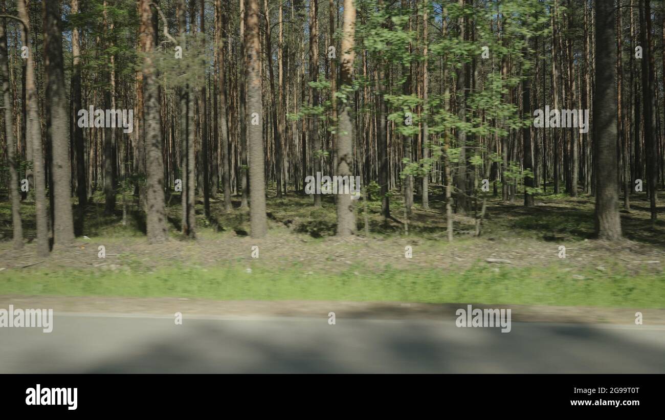 Driving plate side view green hi-res stock photography and images - Alamy