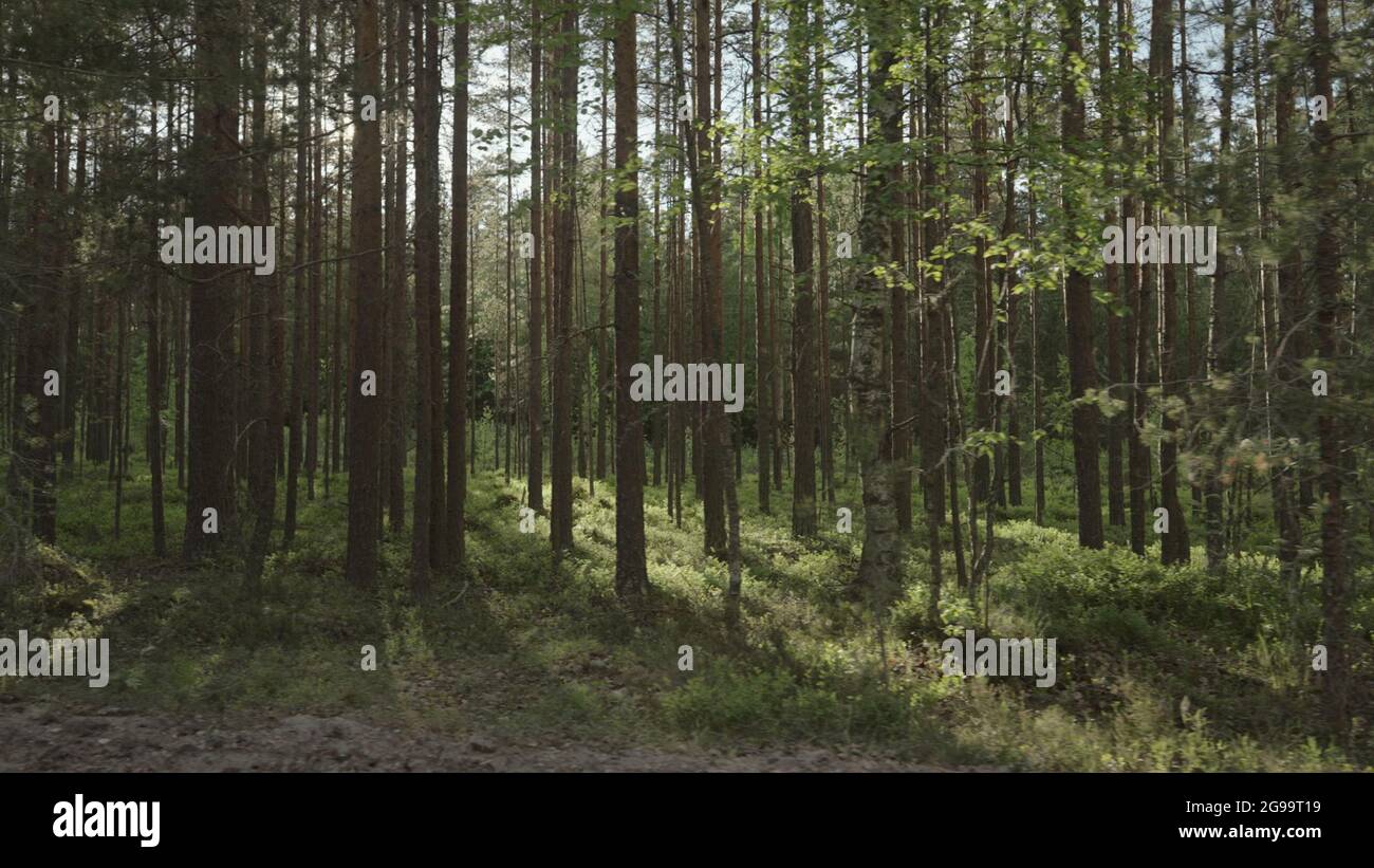 Driving plate side view green hi-res stock photography and images - Alamy