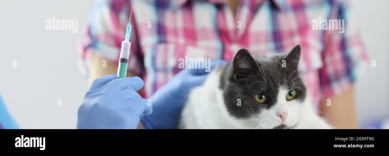 Euthanasia Injection High Resolution Stock Photography and Images - Alamy