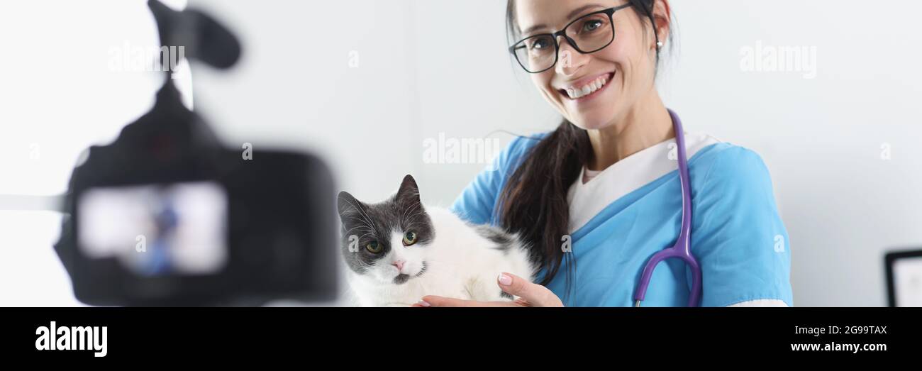Smiling veterinarian doctor demonstrates cat to camera Stock Photo - Alamy