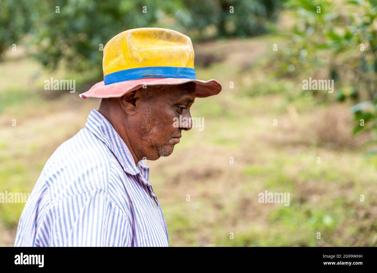 side portrait of an elderly farmer in the countryside Stock Photo - Alamy