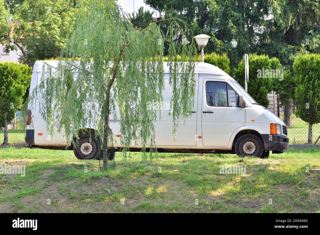 A white delivery truck is behind the trees. Summer Stock Photo - Alamy