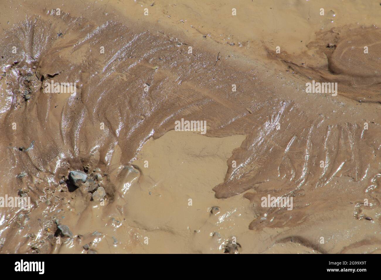 Light brown and beige wet mud texture for background Stock Photo - Alamy