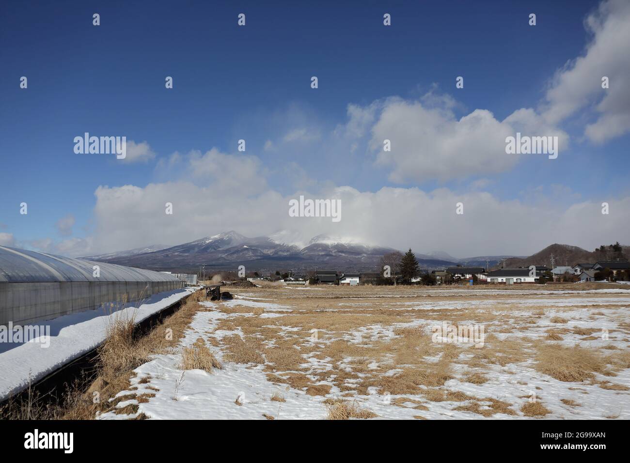the beautiful scenery of white frozen winter in Karuizawa, Japan Stock ...