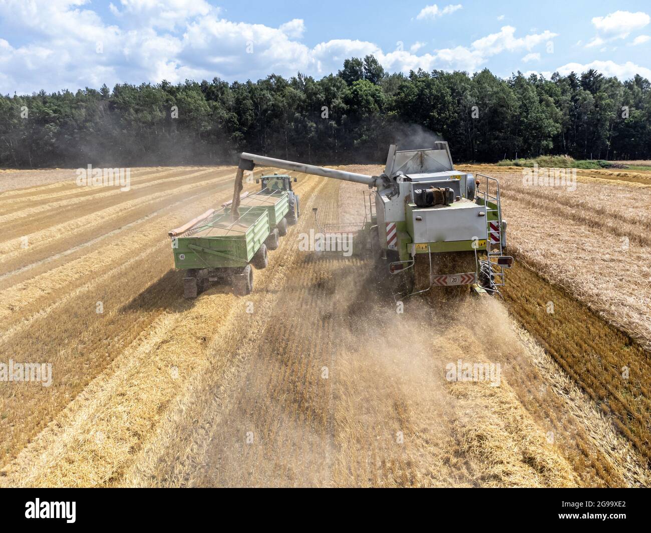 Harvesting a grain field with a combine harvester and tractor Stock ...