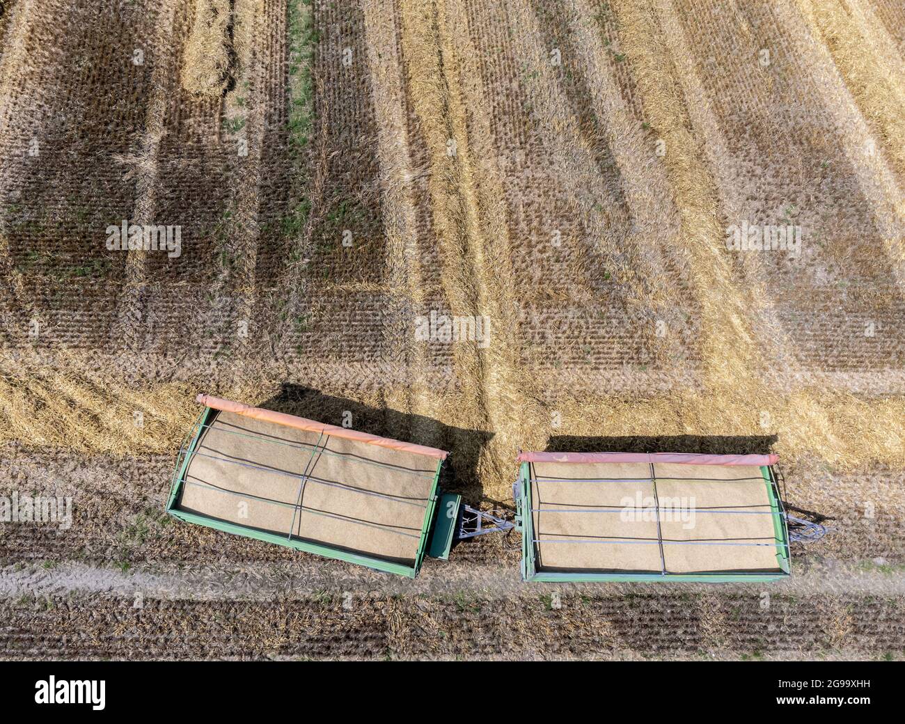 Aerial view of a grain field with a trailer Stock Photo - Alamy