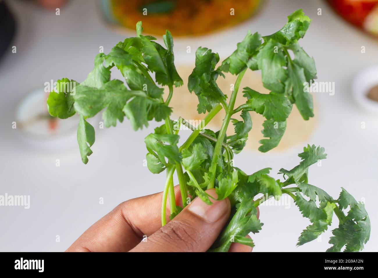 Cilantro bunch hi-res stock photography and images - Alamy