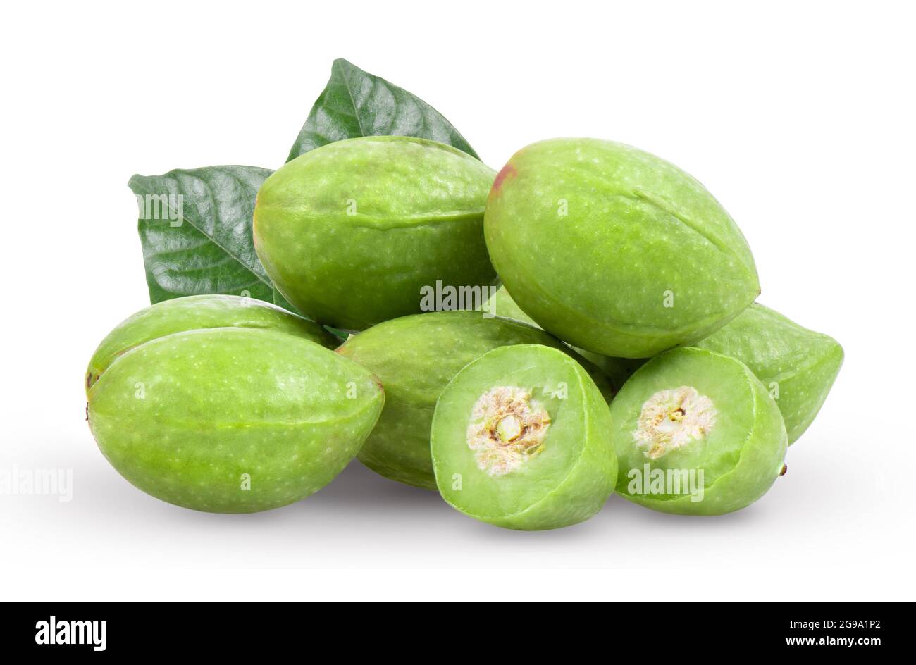 Terminalia Chebula High Resolution Stock Photography and Images - Alamy