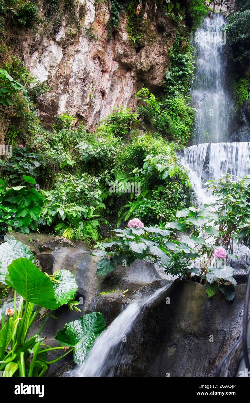 a flowing waterfall and tropical plants located with the batu caves ...