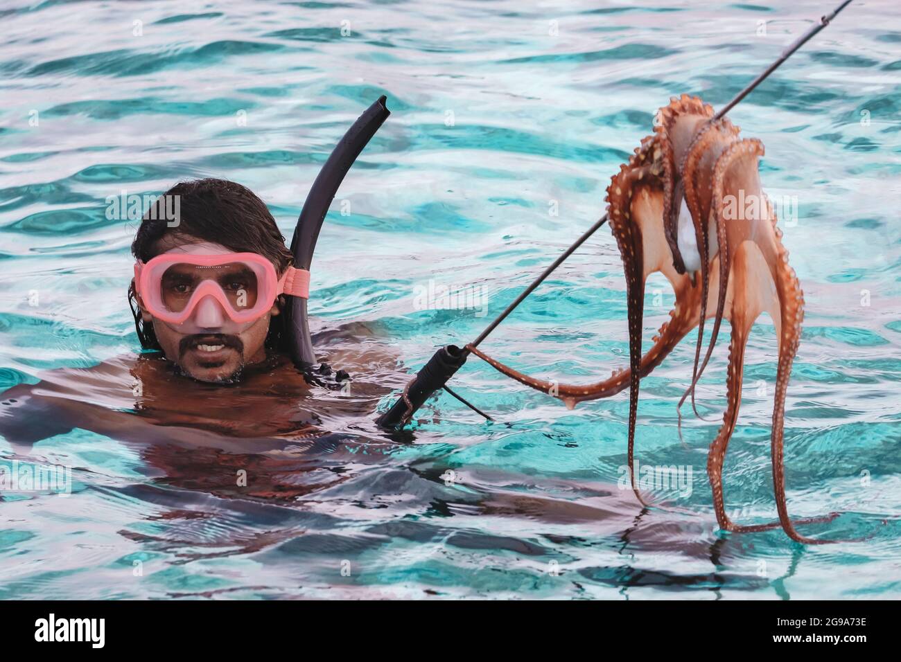 Diver with speargun and squid Stock Photo - Alamy