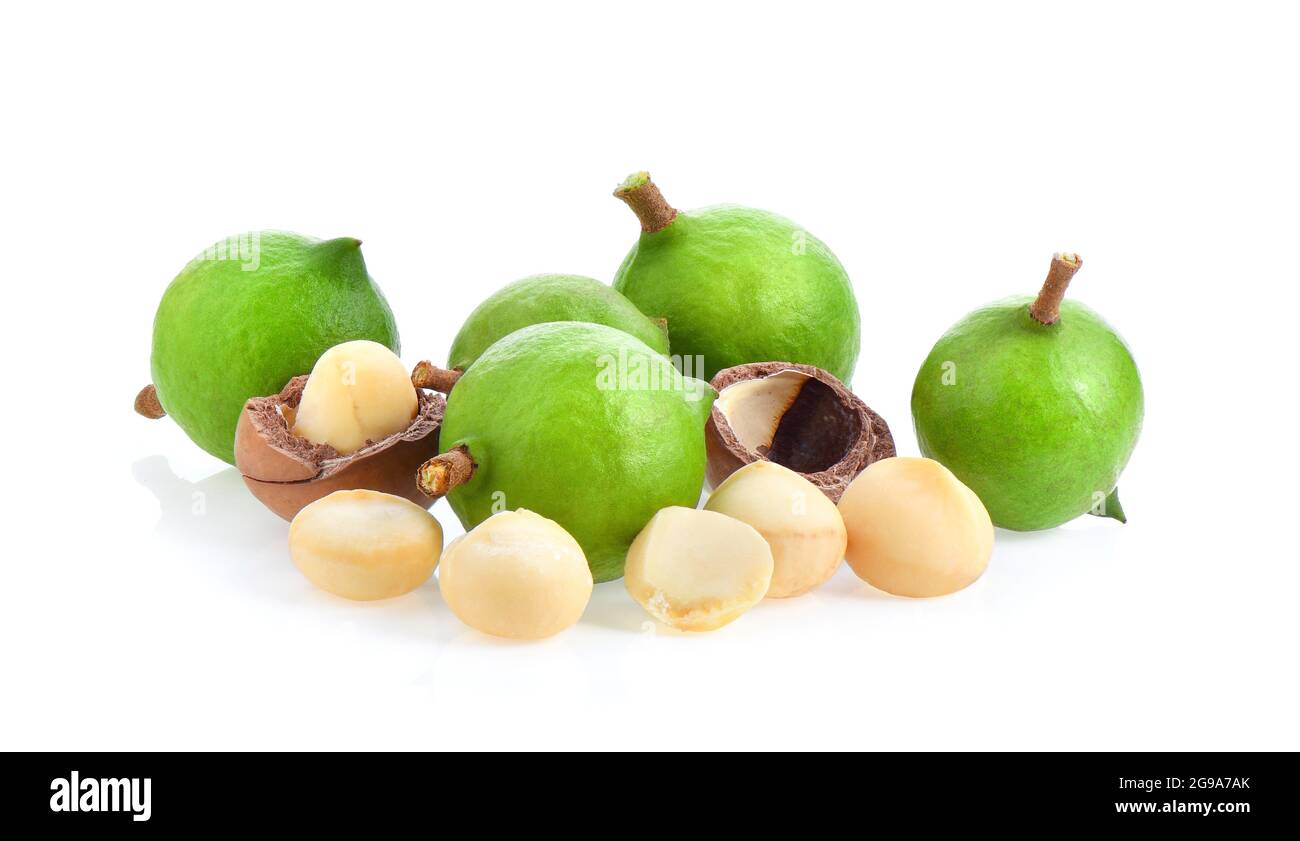 Macadamia nut green leaf hi-res stock photography and images - Alamy