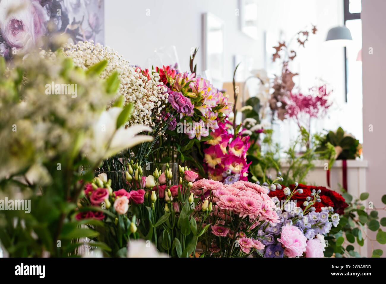 Space for plants hi-res stock photography and images - Alamy