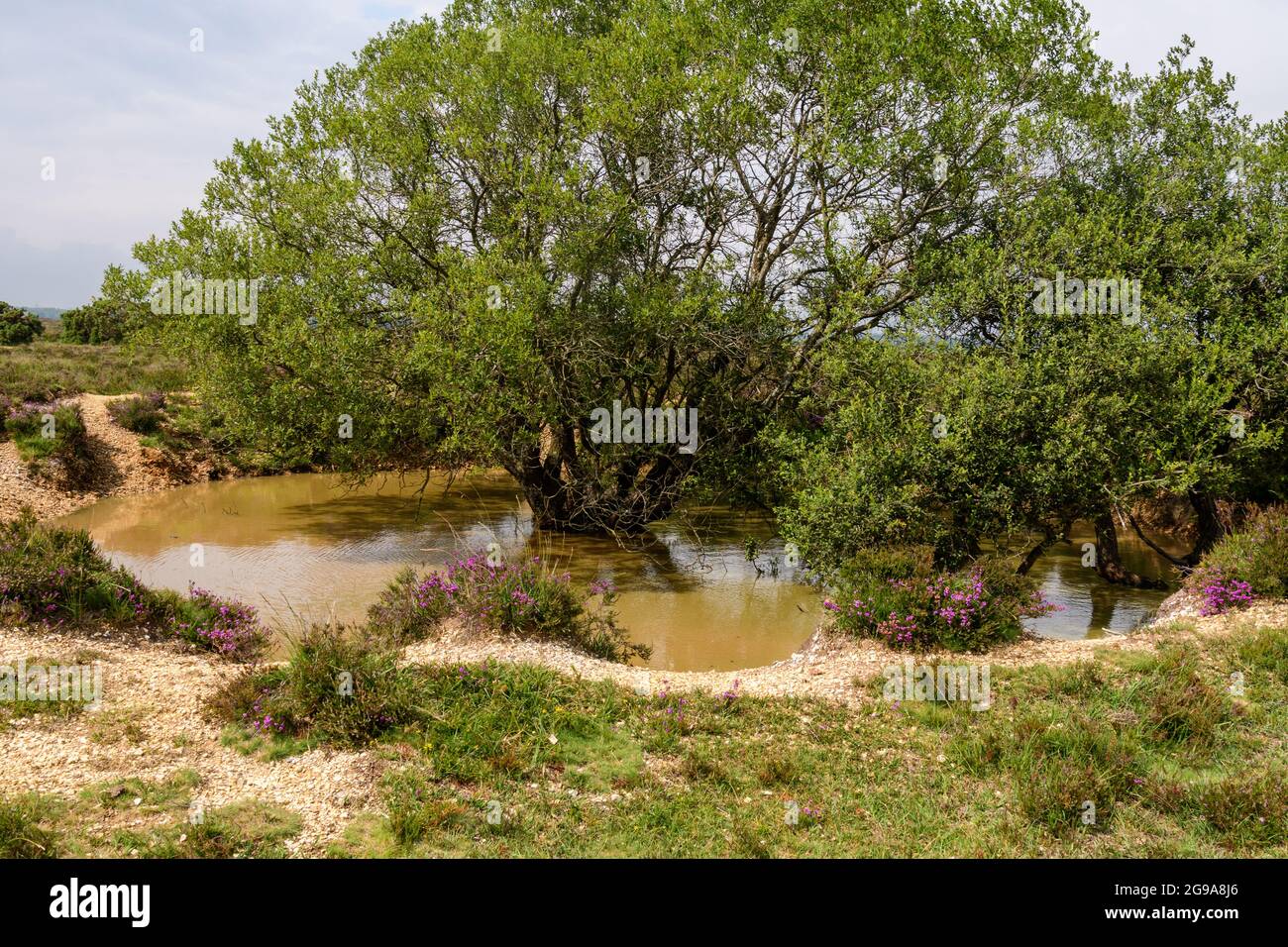 Bomb crater on Ashley Bombing Range Word War II bomb test site filled ...