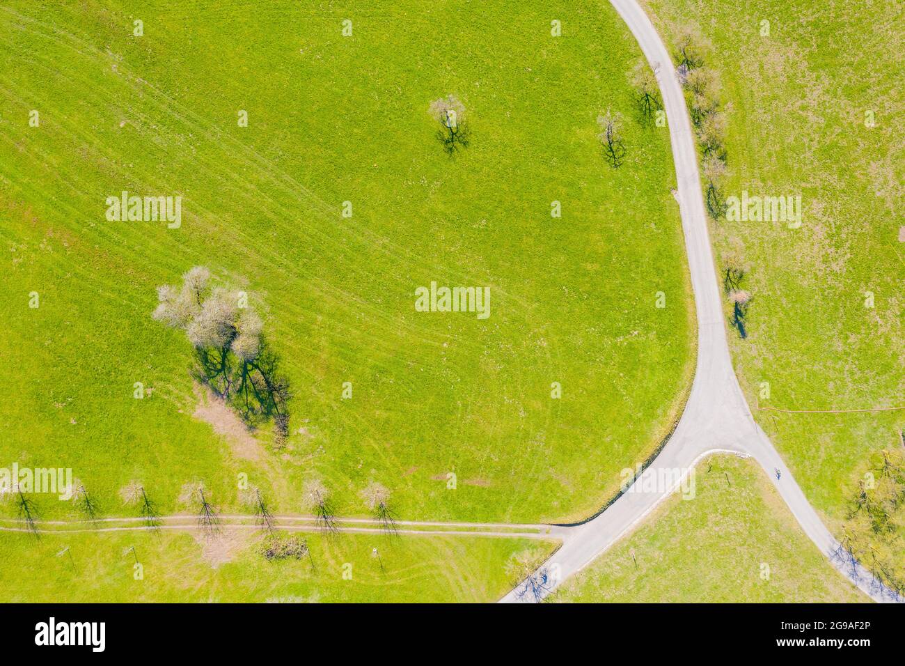 Field, trees and road. Aerial view Stock Photo - Alamy