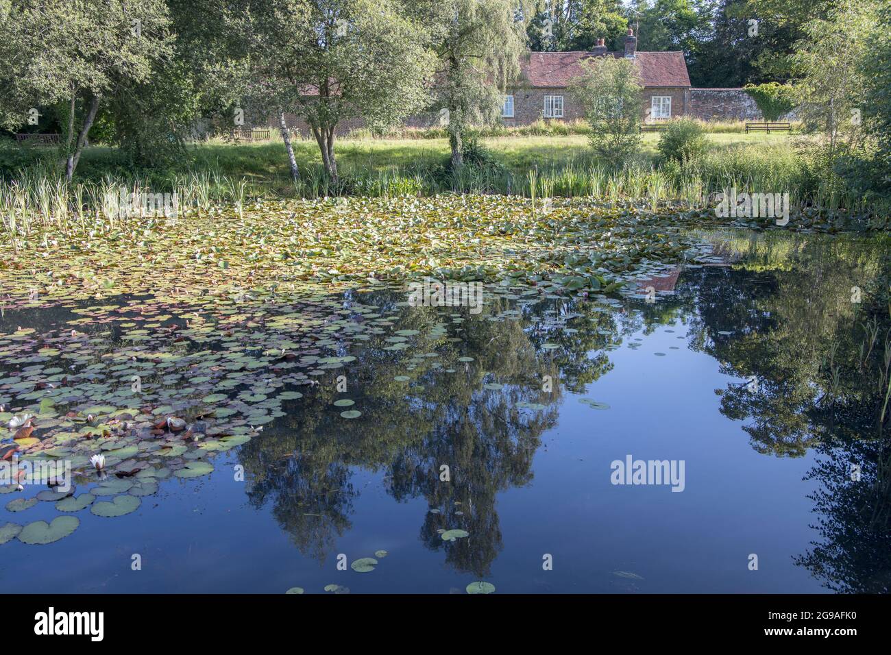 the pond in the centre of the village of chiddingfold surrey Stock ...