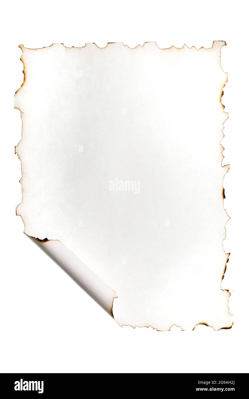 Burnt White Paper Texture