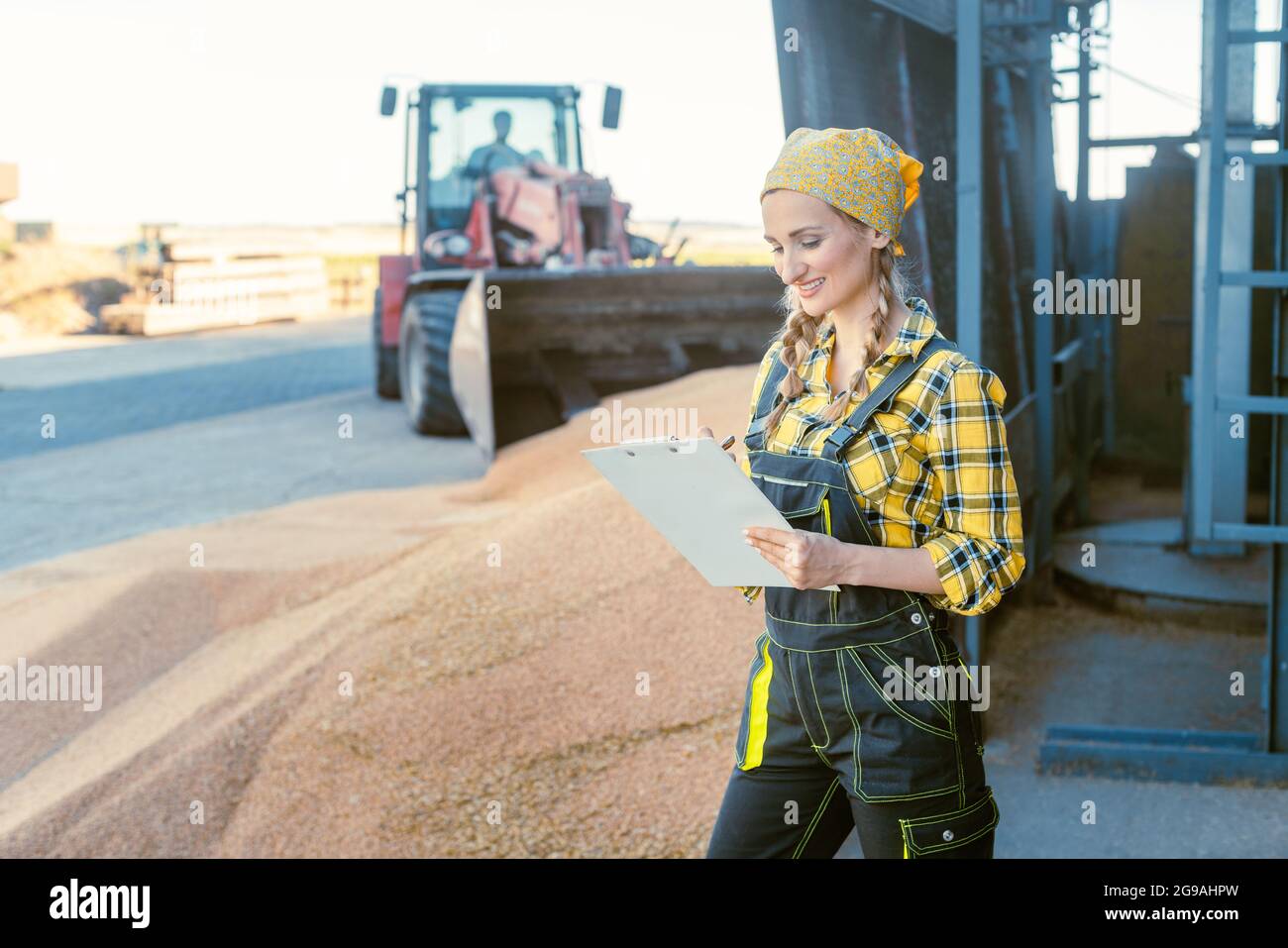 Grain being stored in granary or storage house with farmer keeping ...