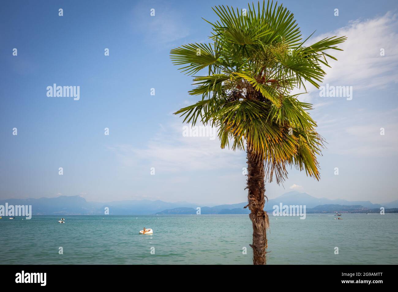 Garda water palm trees hi-res stock photography and images - Alamy