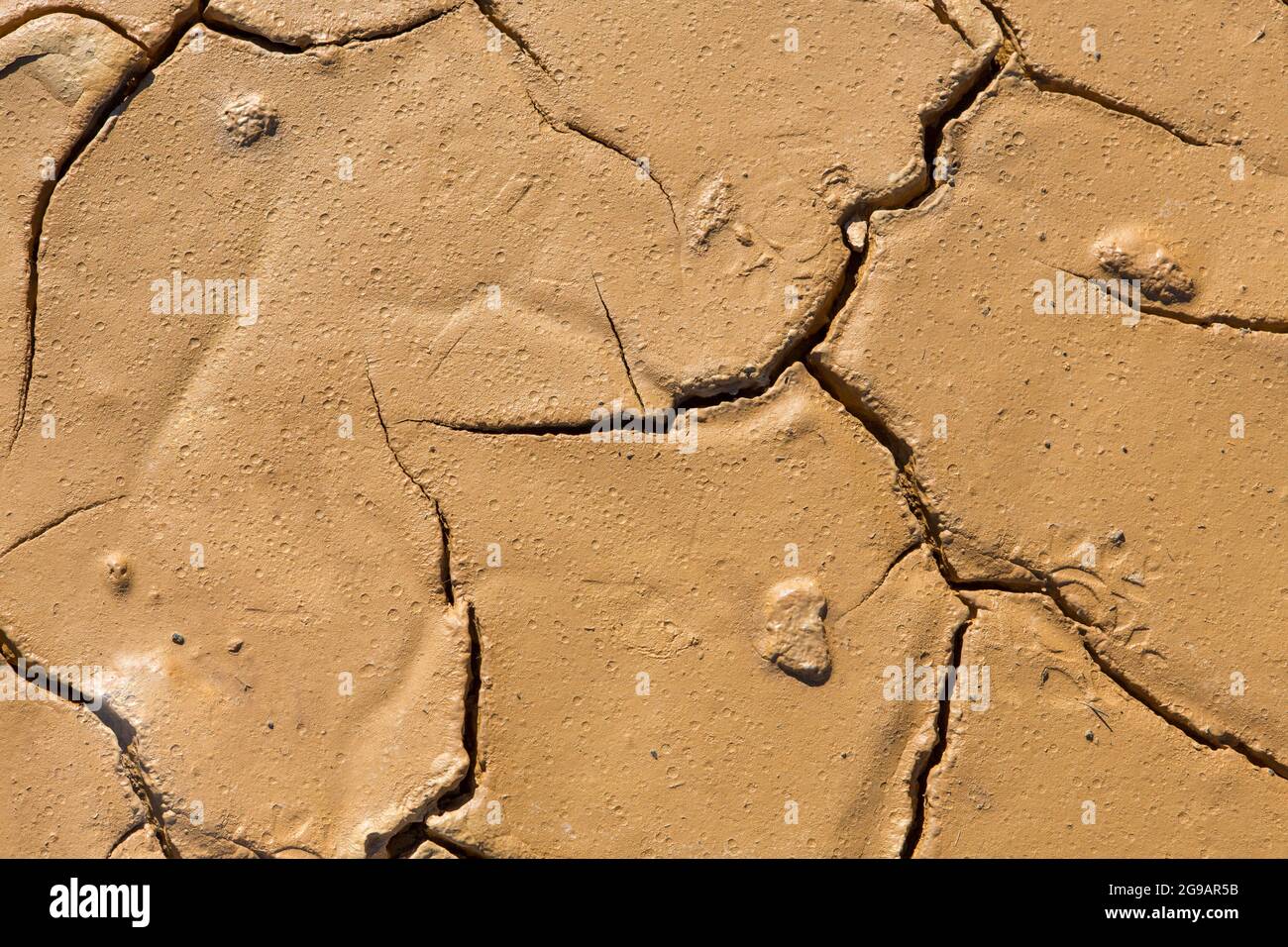 moist clayey soil with cracks and illuminated by the sun, ideal for ...
