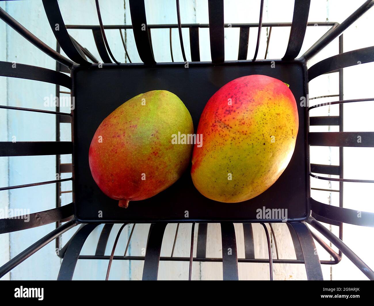 Two fresh mango on hi-res stock photography and images - Alamy