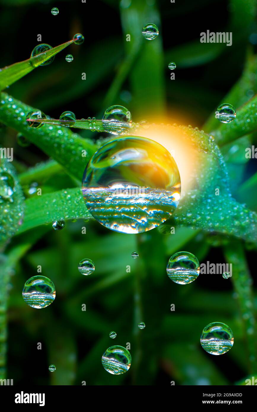 Renewable energy concept Earth Day or environment protection Hands ...