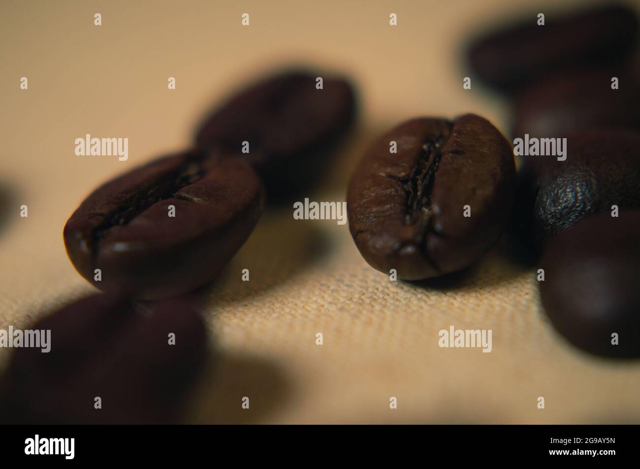 Large coffee beans are scattered on the beige book Stock Photo - Alamy