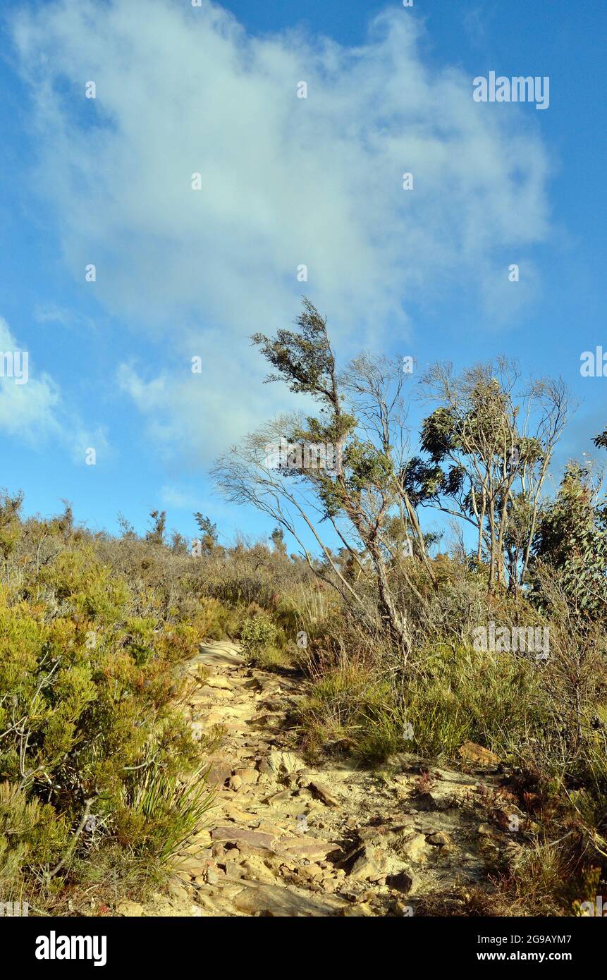 Lockleys pylon hi-res stock photography and images - Alamy