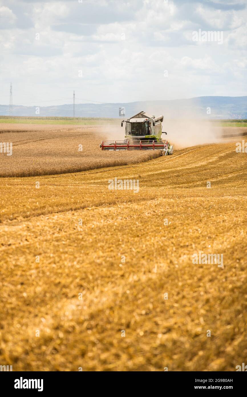 Farming wheat process hi-res stock photography and images - Alamy