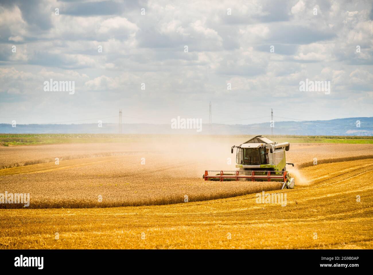 Combine harvester in action on wheat field. Harvesting is the process ...